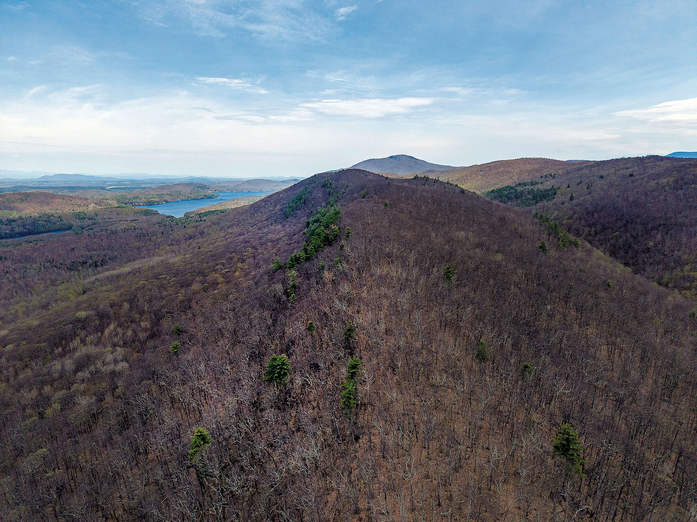 Prescribed Burning Proposed for Addison County Forest | Seven Days